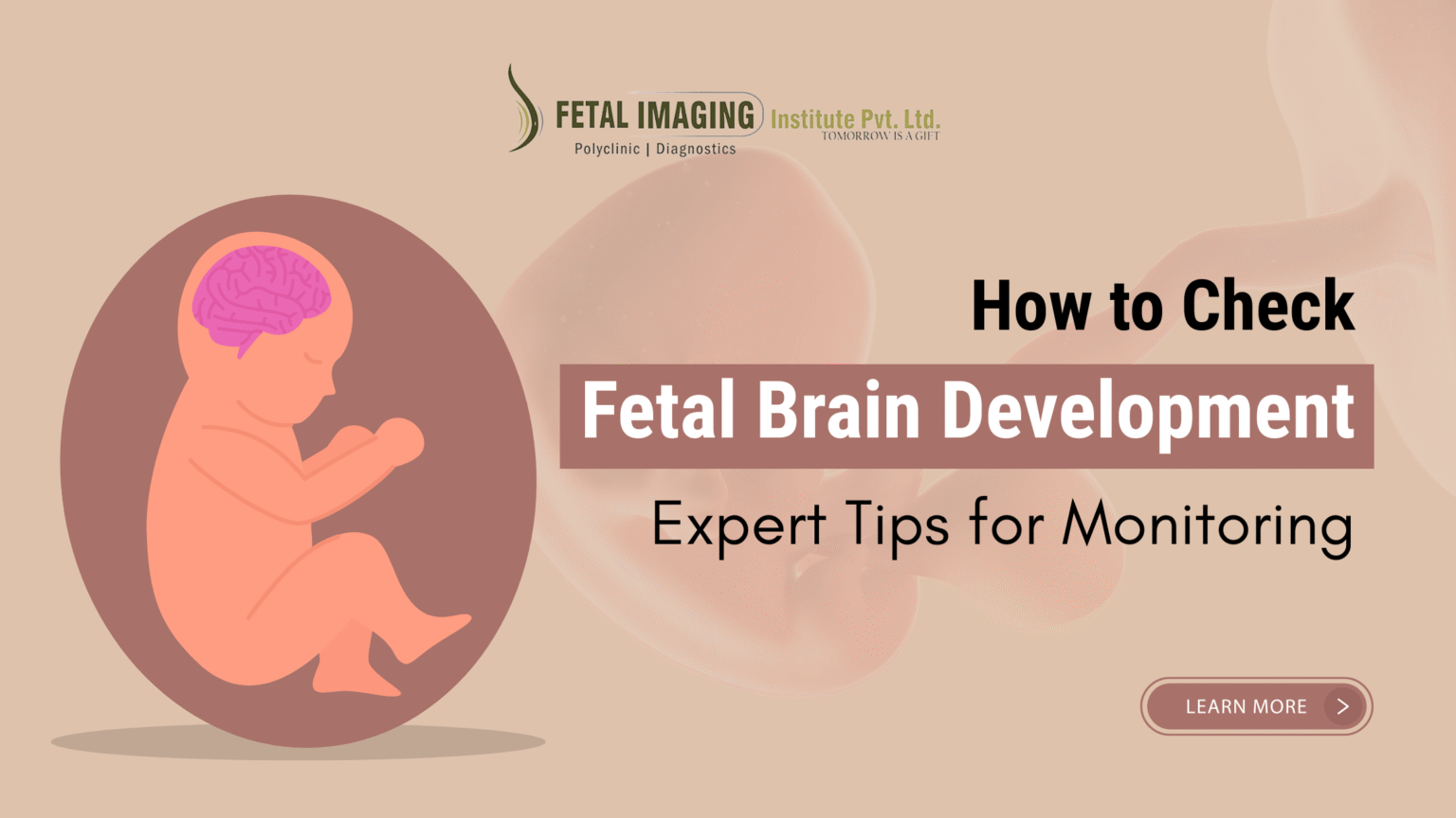 How to check fetal brain development – Fetal Blog